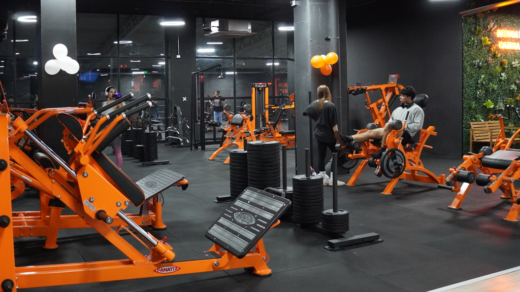 Galería de Imágenes