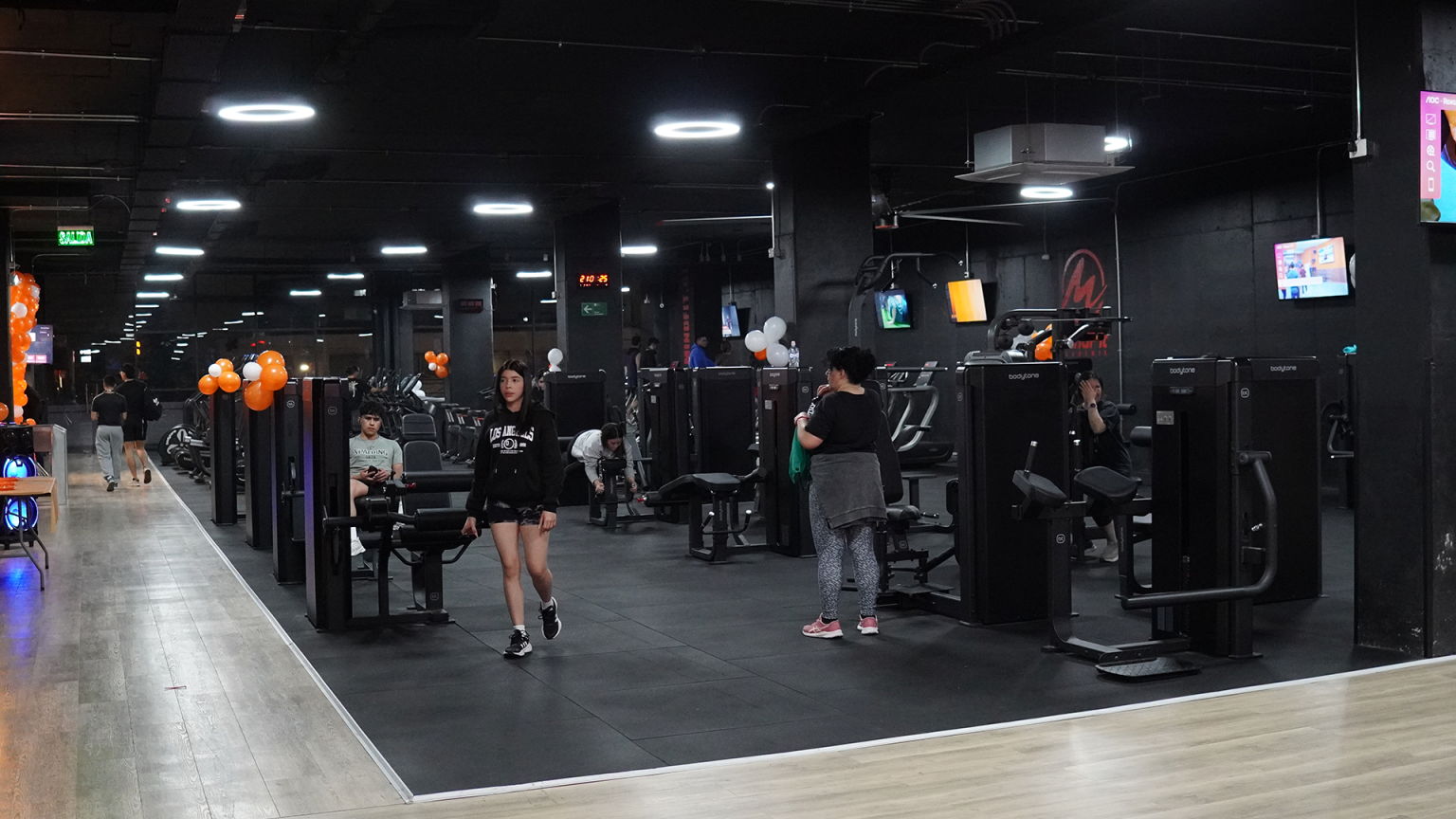 Galería de Imágenes